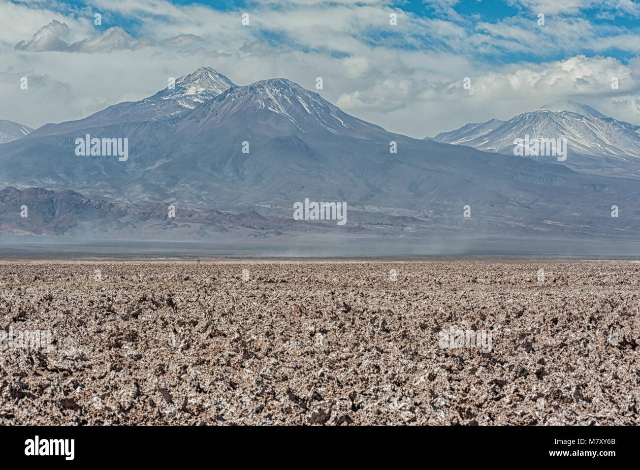 Salar de Atacama, the largest salt flat in Chile (Desert of the Atacama ...