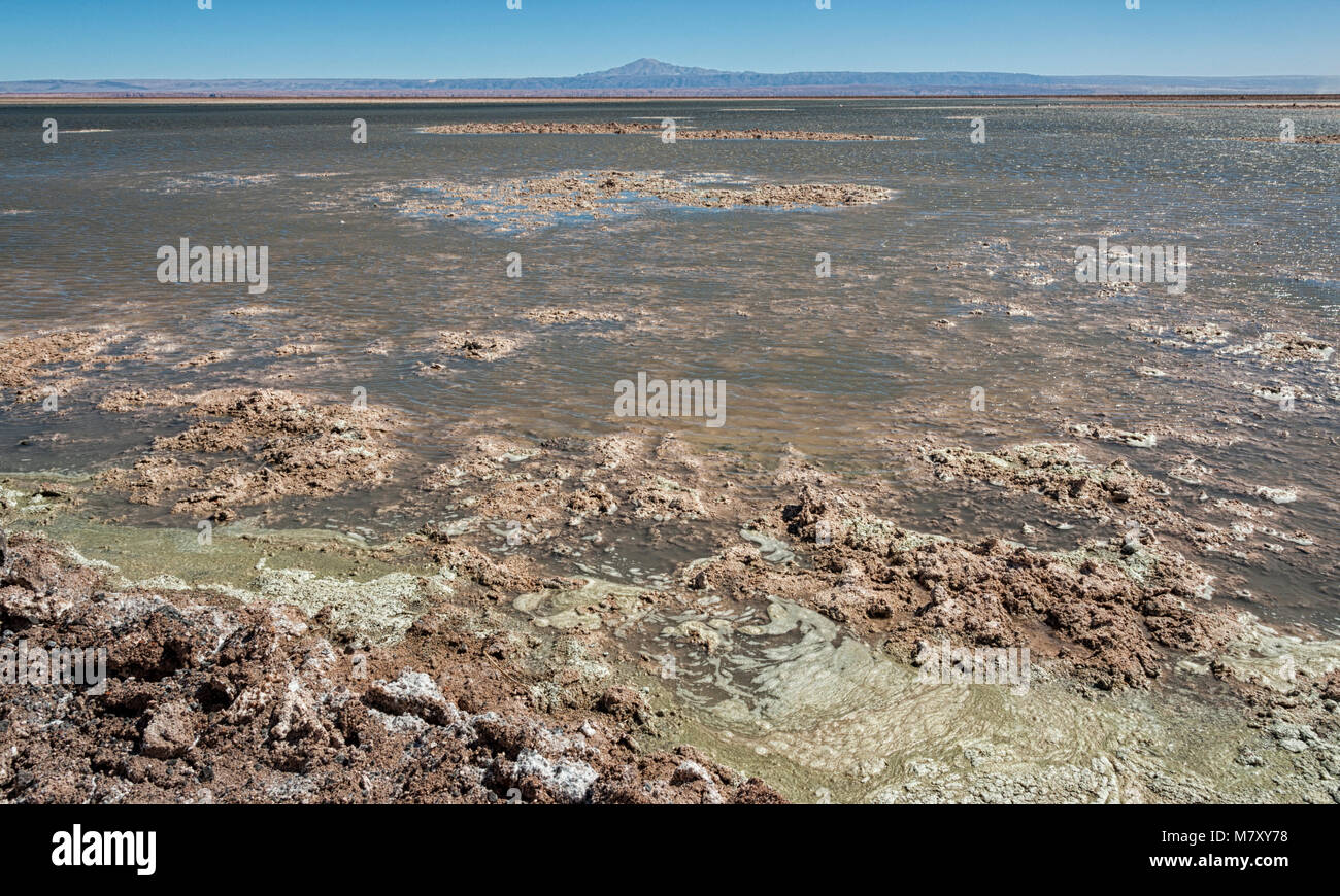 Salar de Atacama, the largest salt flat in Chile (Desert of the Atacama ...