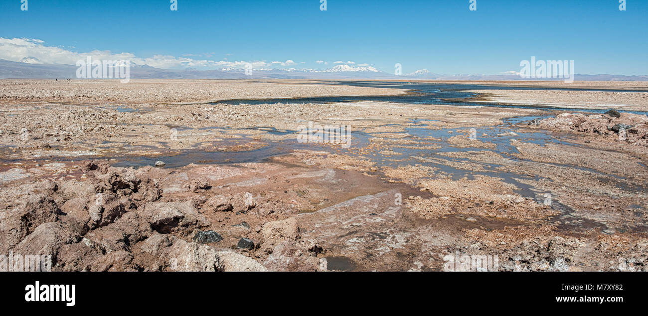 Salar de Atacama, the largest salt flat in Chile (Desert of the Atacama ...