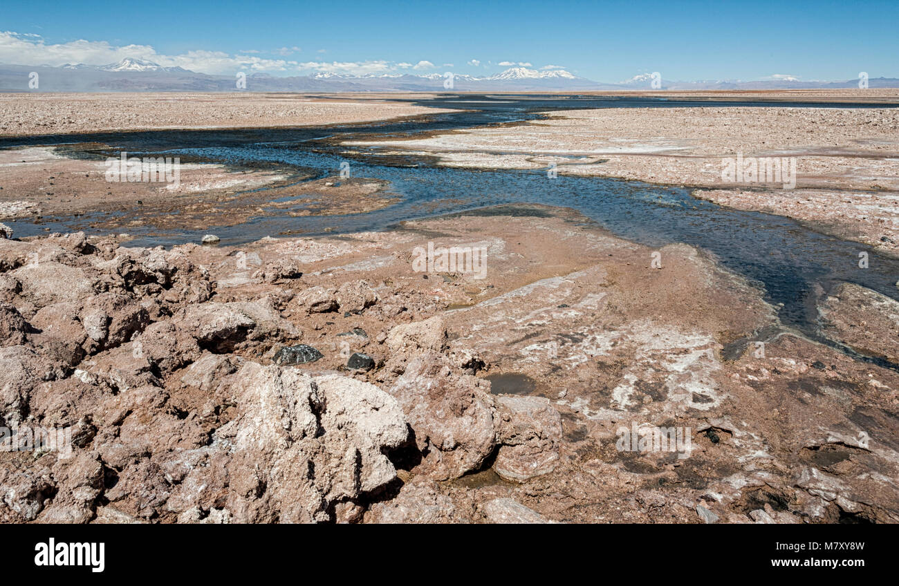 Salar de Atacama, the largest salt flat in Chile (Desert of the Atacama ...