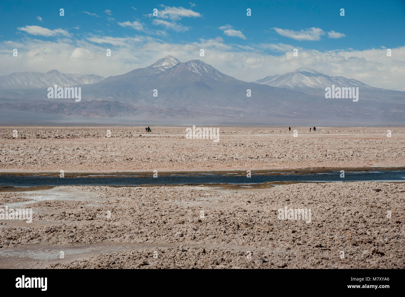 Salar de Atacama, the largest salt flat in Chile (Desert of the Atacama ...