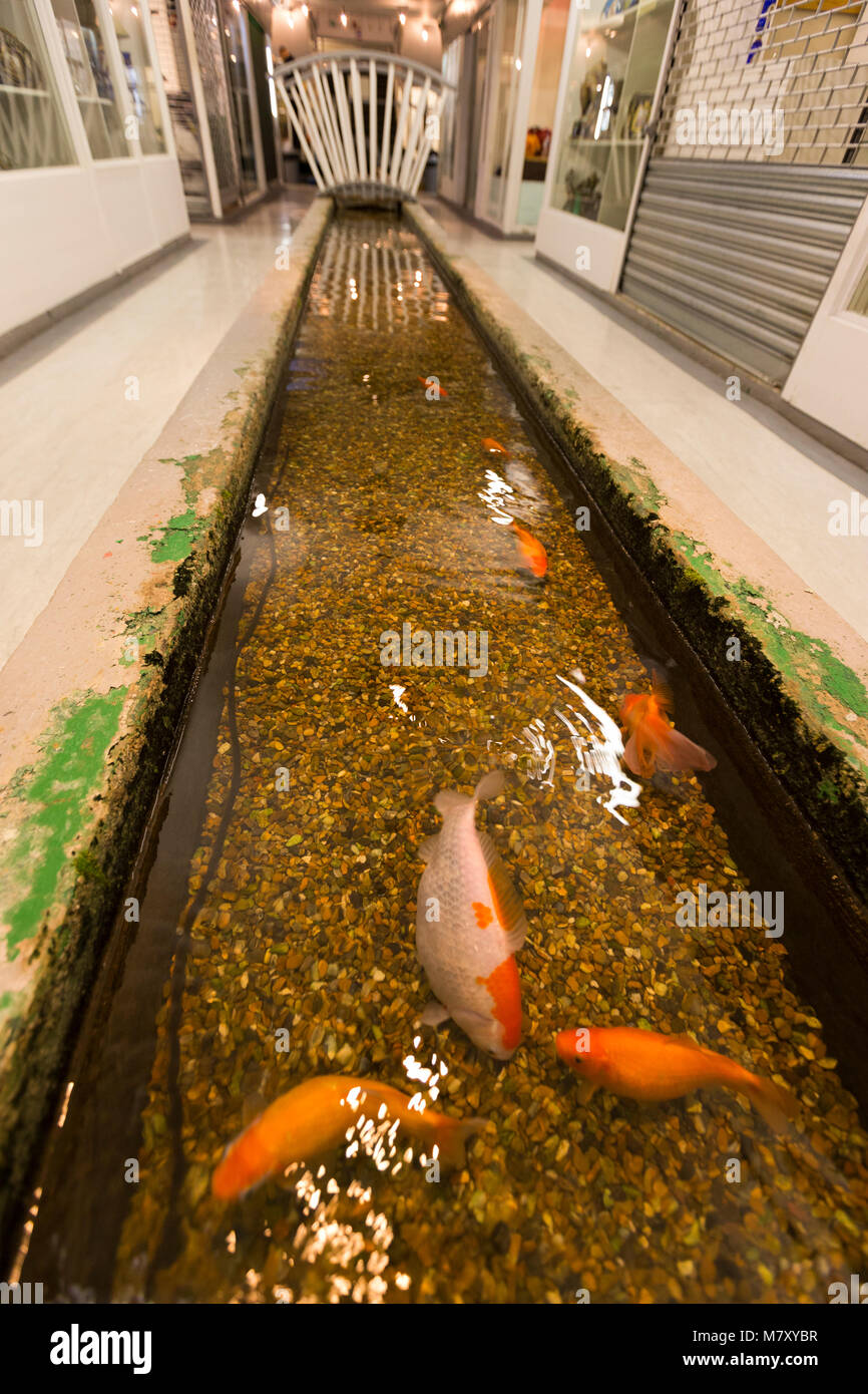 The Tyburn stream (which flows into the Thames) in the basement of Gray ...