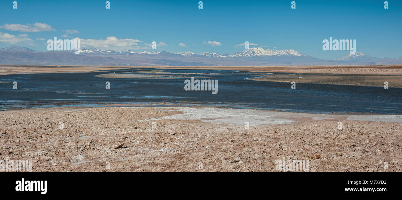 Salar de Atacama, the largest salt flat in Chile (Desert of the Atacama ...