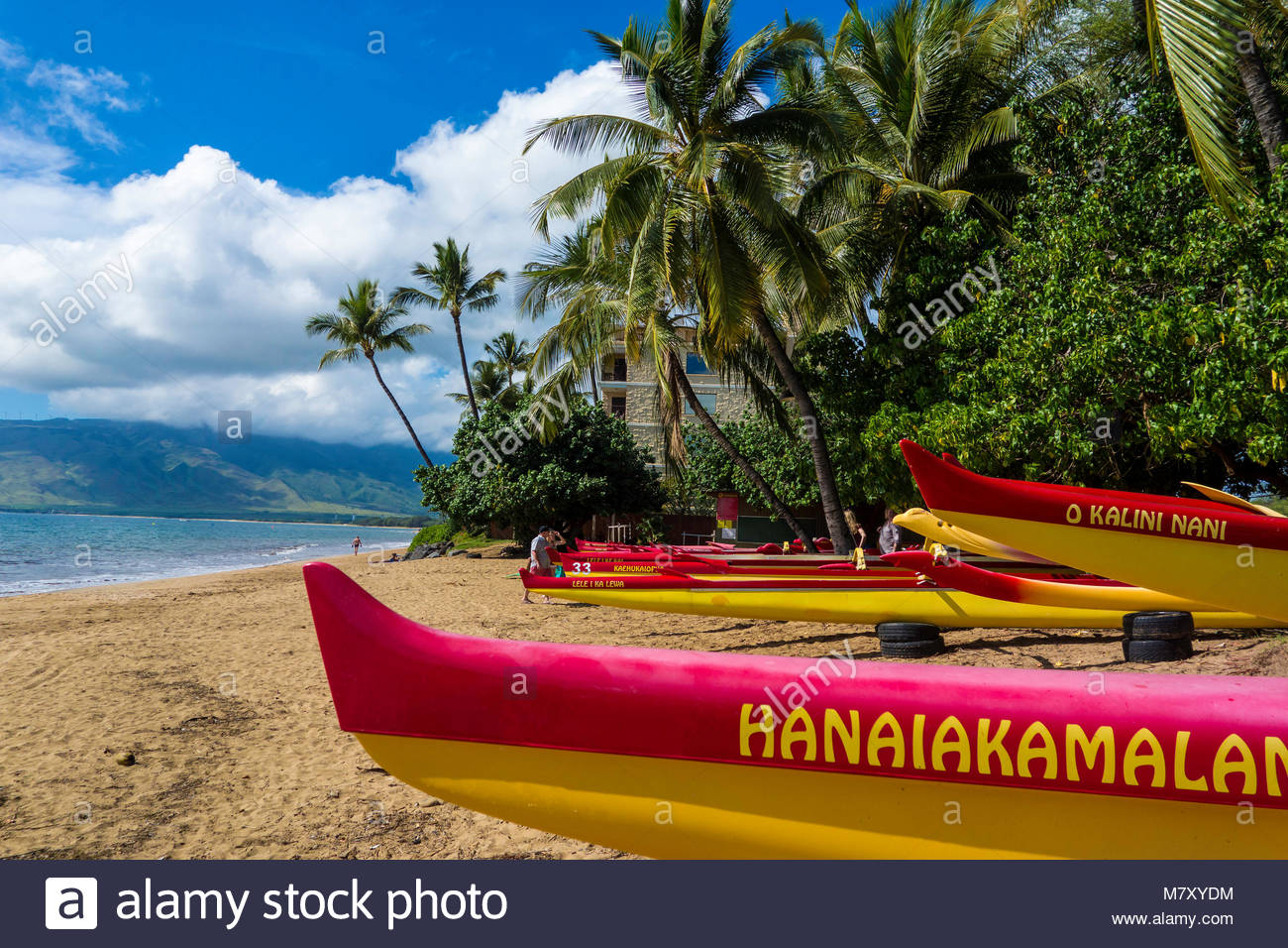 Polynesian Boat Stock Photos & Polynesian Boat Stock Images - Alamy