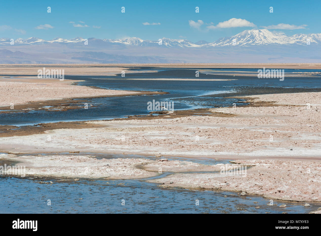 Salar de Atacama, the largest salt flat in Chile (Desert of the Atacama ...