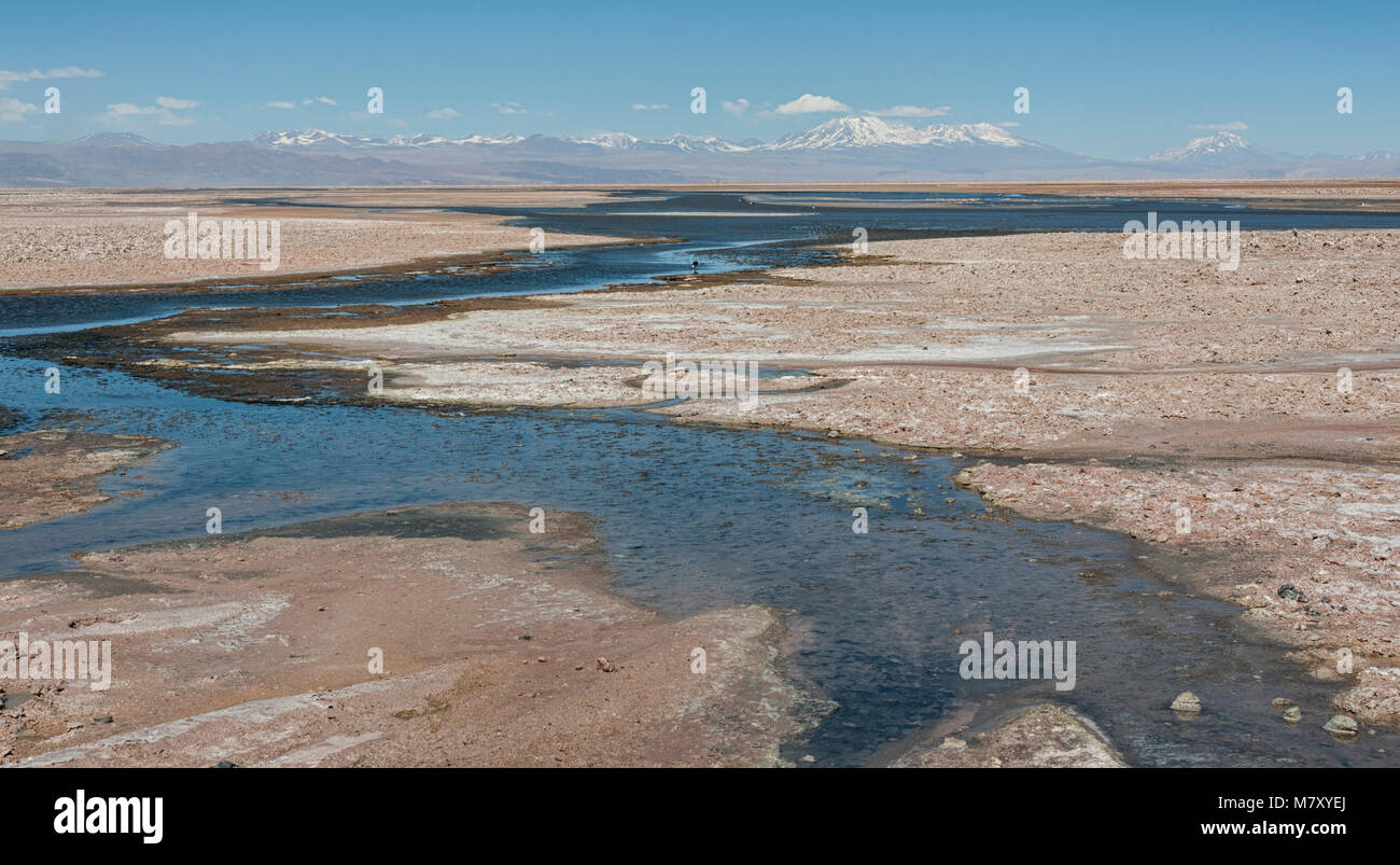 Salar de Atacama, the largest salt flat in Chile (Desert of the Atacama ...