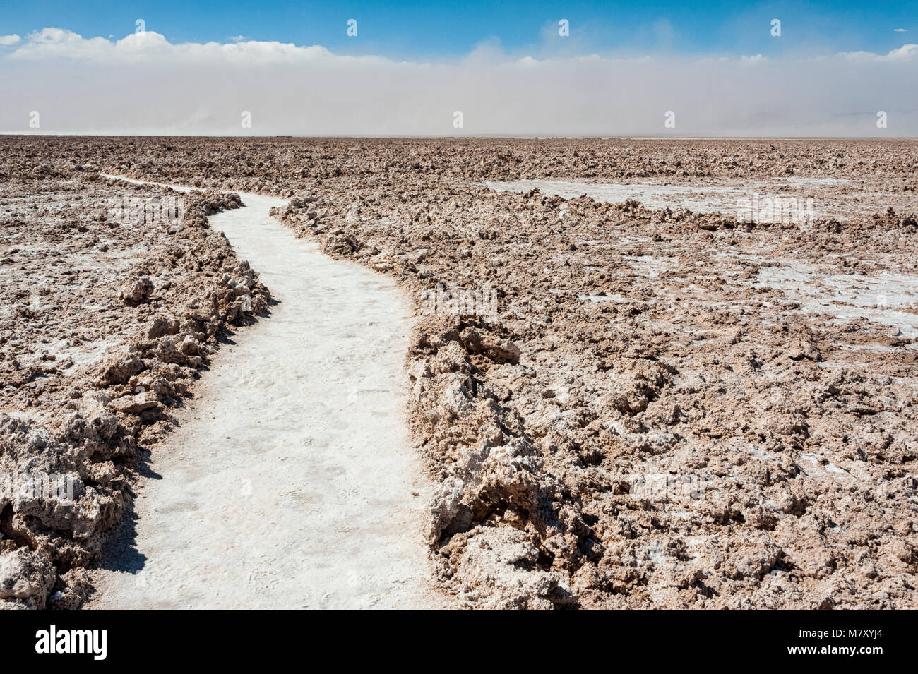 Salar de Atacama, the largest salt flat in Chile (Desert of the Atacama ...