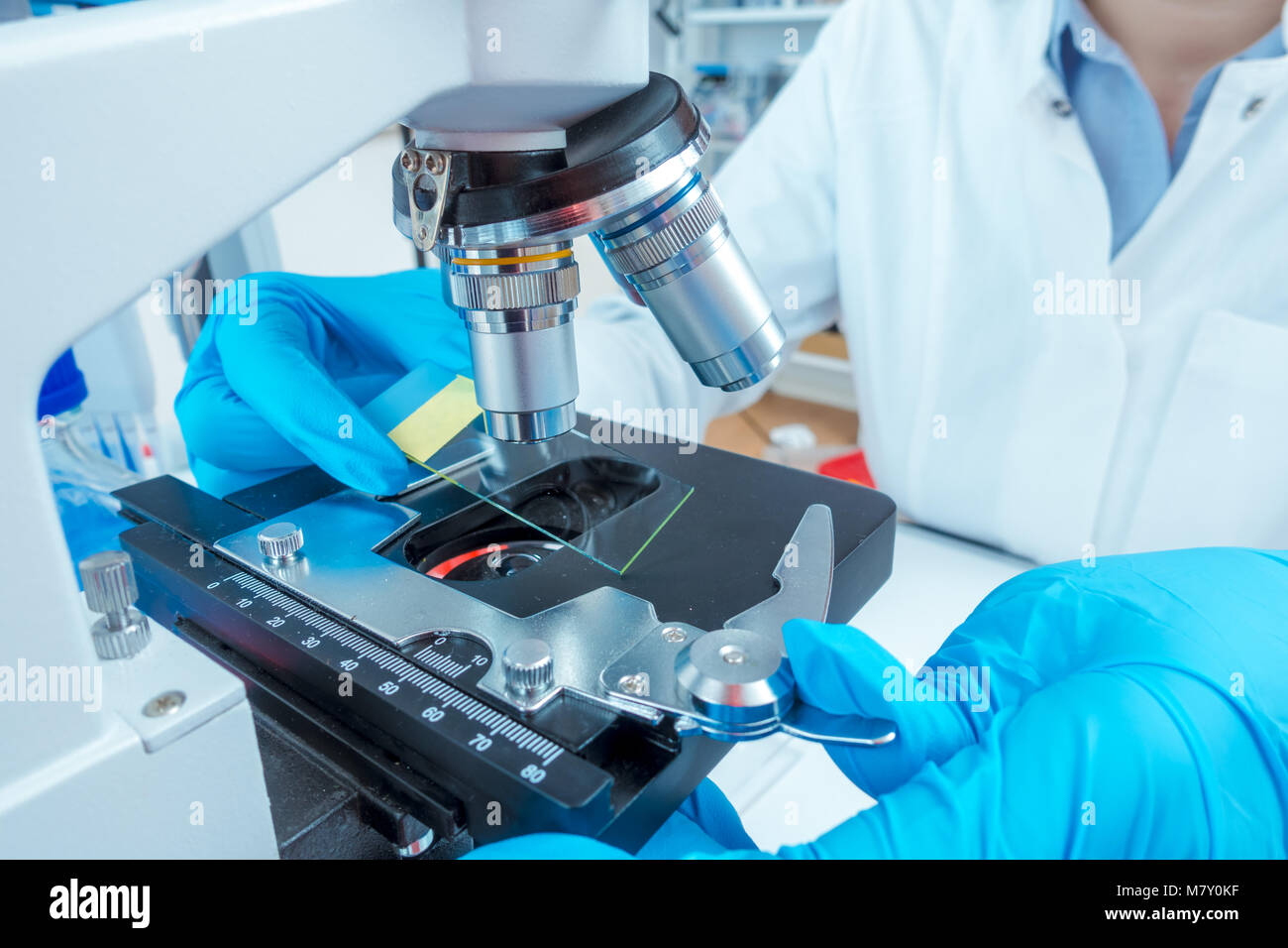 technician woman works with in genetic lab with biological materials ...
