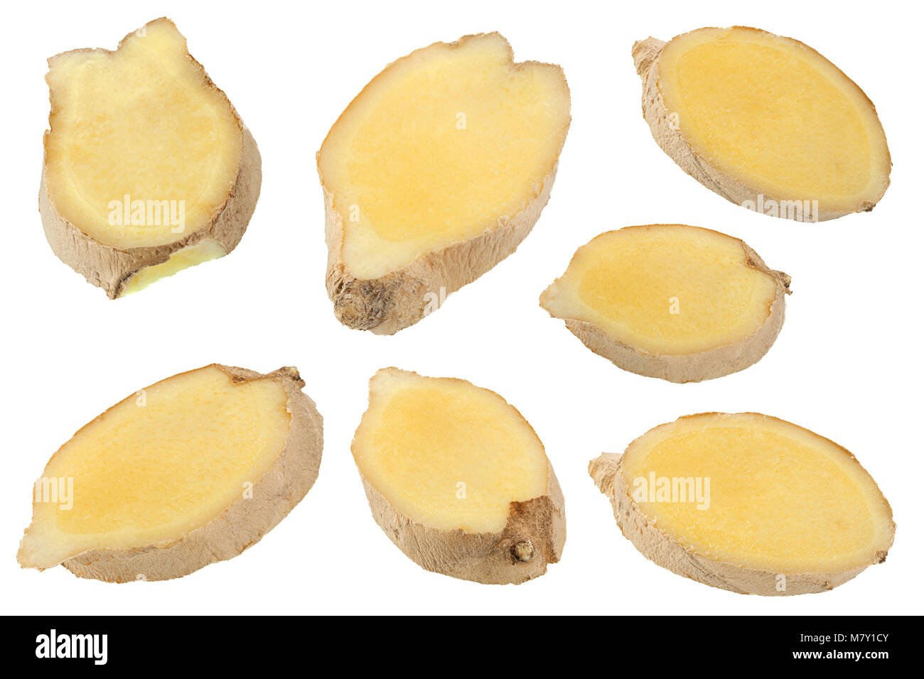 Ginger root slice set isolated on white Stock Photo - Alamy