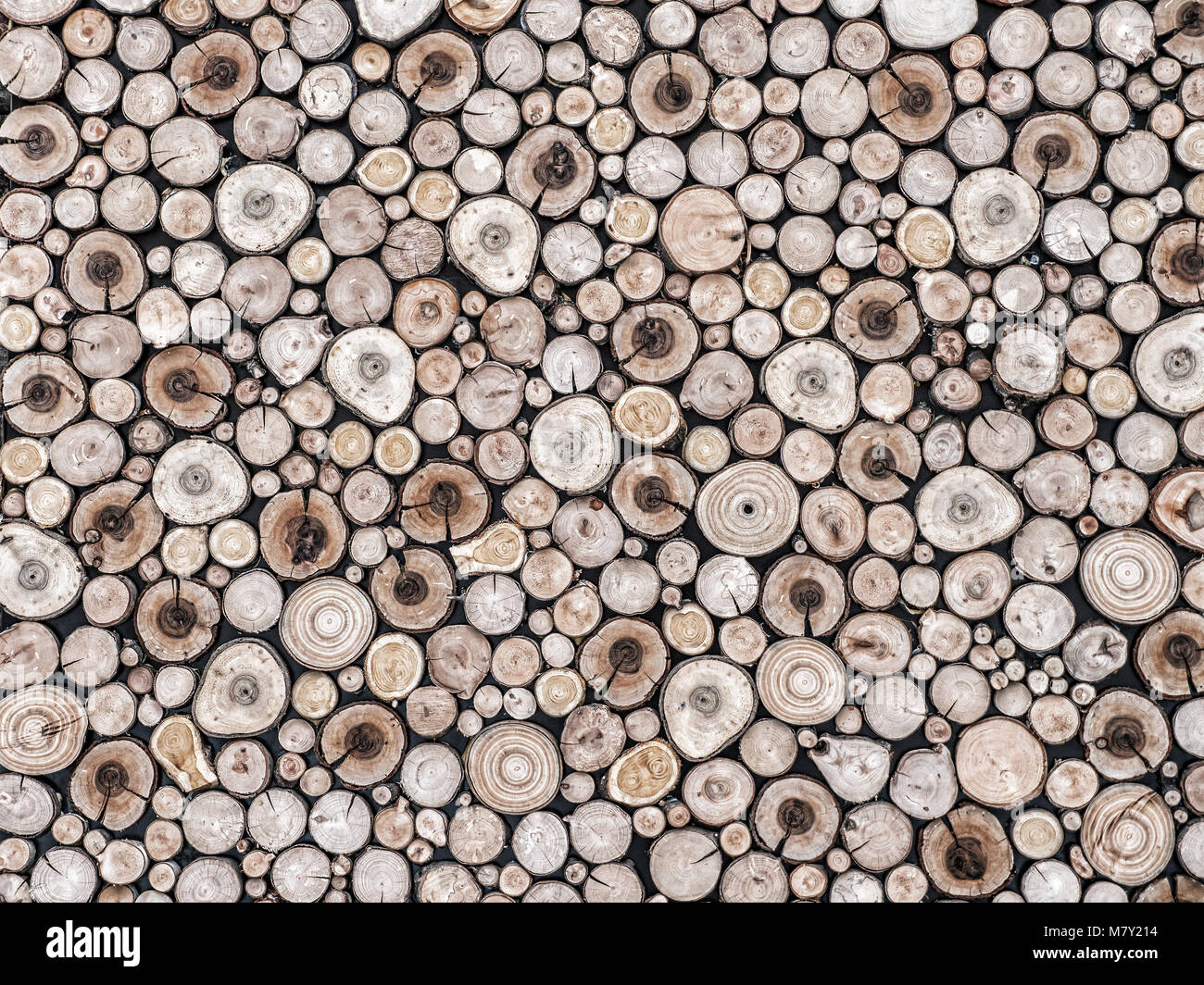 Background of neatly arranged pile of cross-cut wooden logs Stock Photo ...