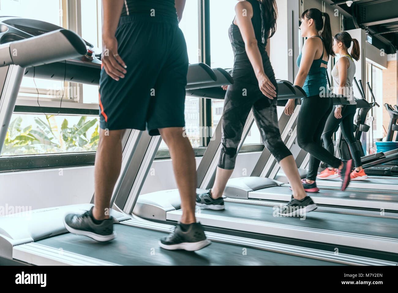 Row of people exercising on treadmills at the bright modern gym, indoor ...