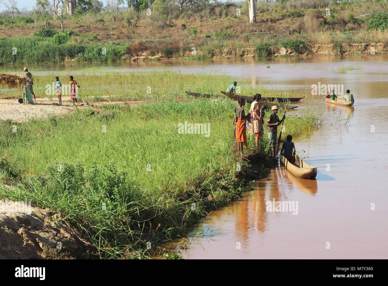 Pirogue, dugout, canoe on Tsiribihina river, Madagascar Stock Photo - Alamy