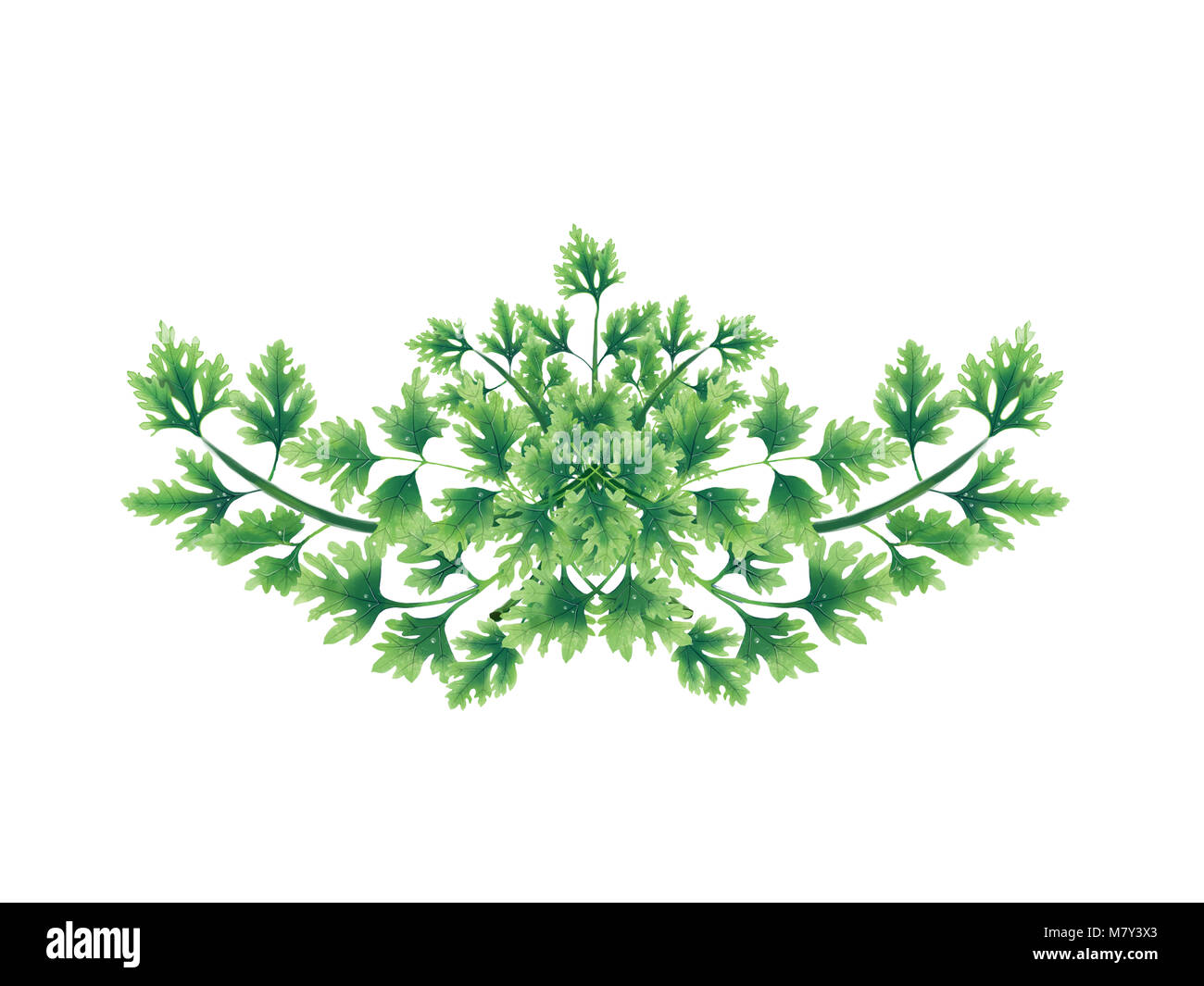 Beautiful romantic background decorative Cut Out Stock Images ...