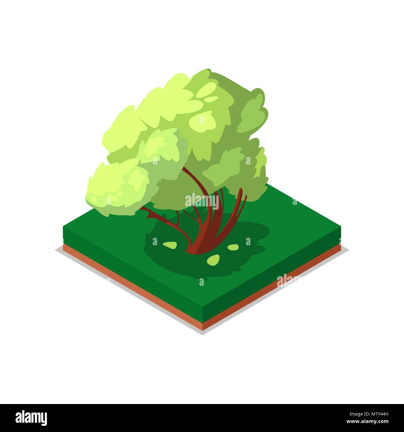 Garden decorative willow Stock Vector Images - Alamy