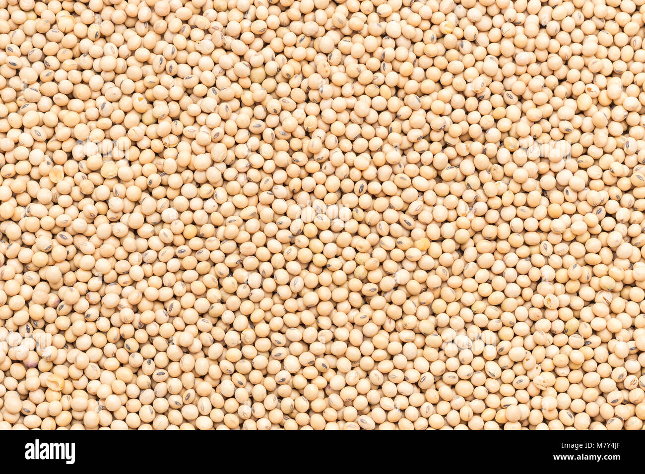 Top view soybean for food texture and background Stock Photo - Alamy