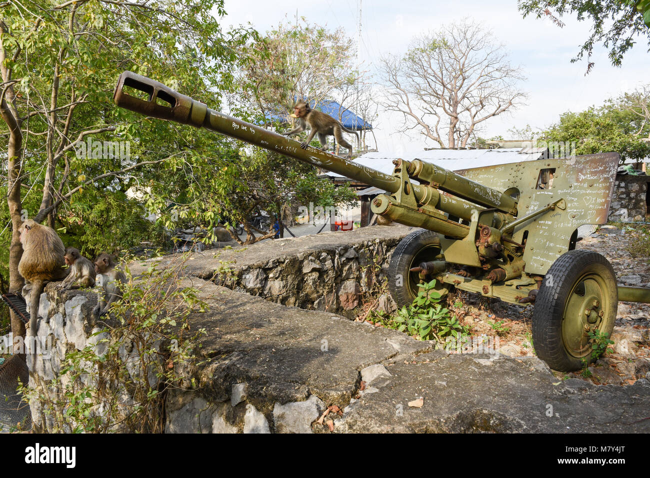 Old artillery piece of the red Khmer on mount Phnom Sampeau at ...