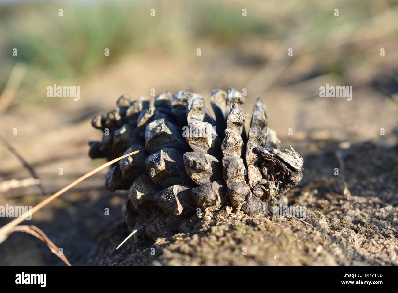 Sand cone hi-res stock photography and images - Alamy
