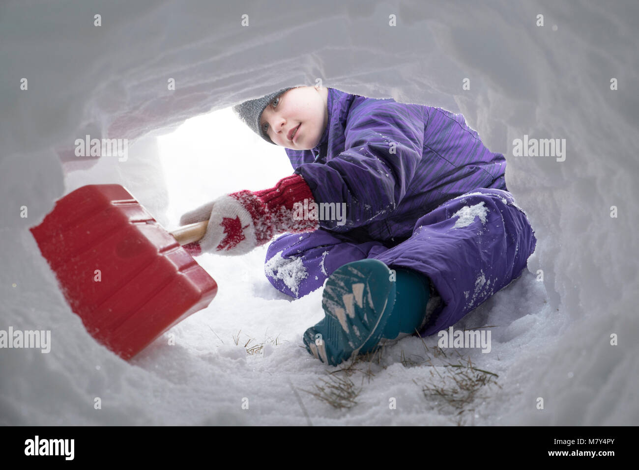 Canadian girl digging snow tunnel with red plastic shovel Stock Photo ...