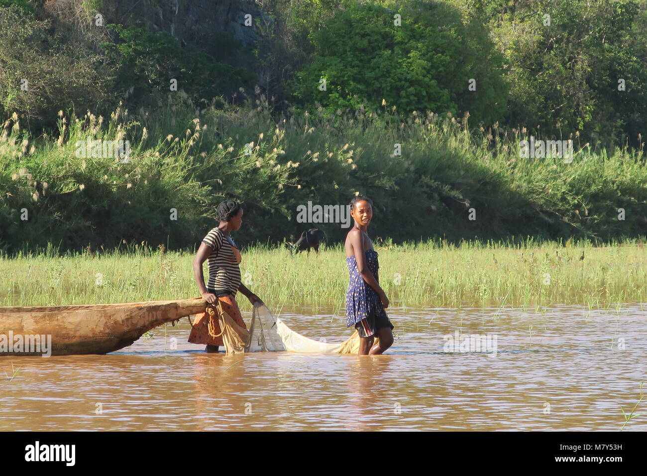 Pirogue, dugout, canoe on Manambolo river, Madagascar Stock Photo - Alamy