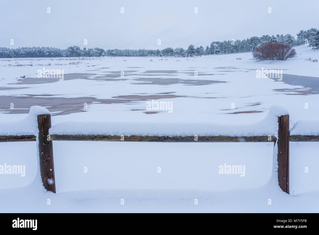 Pinares hi-res stock photography and images - Alamy