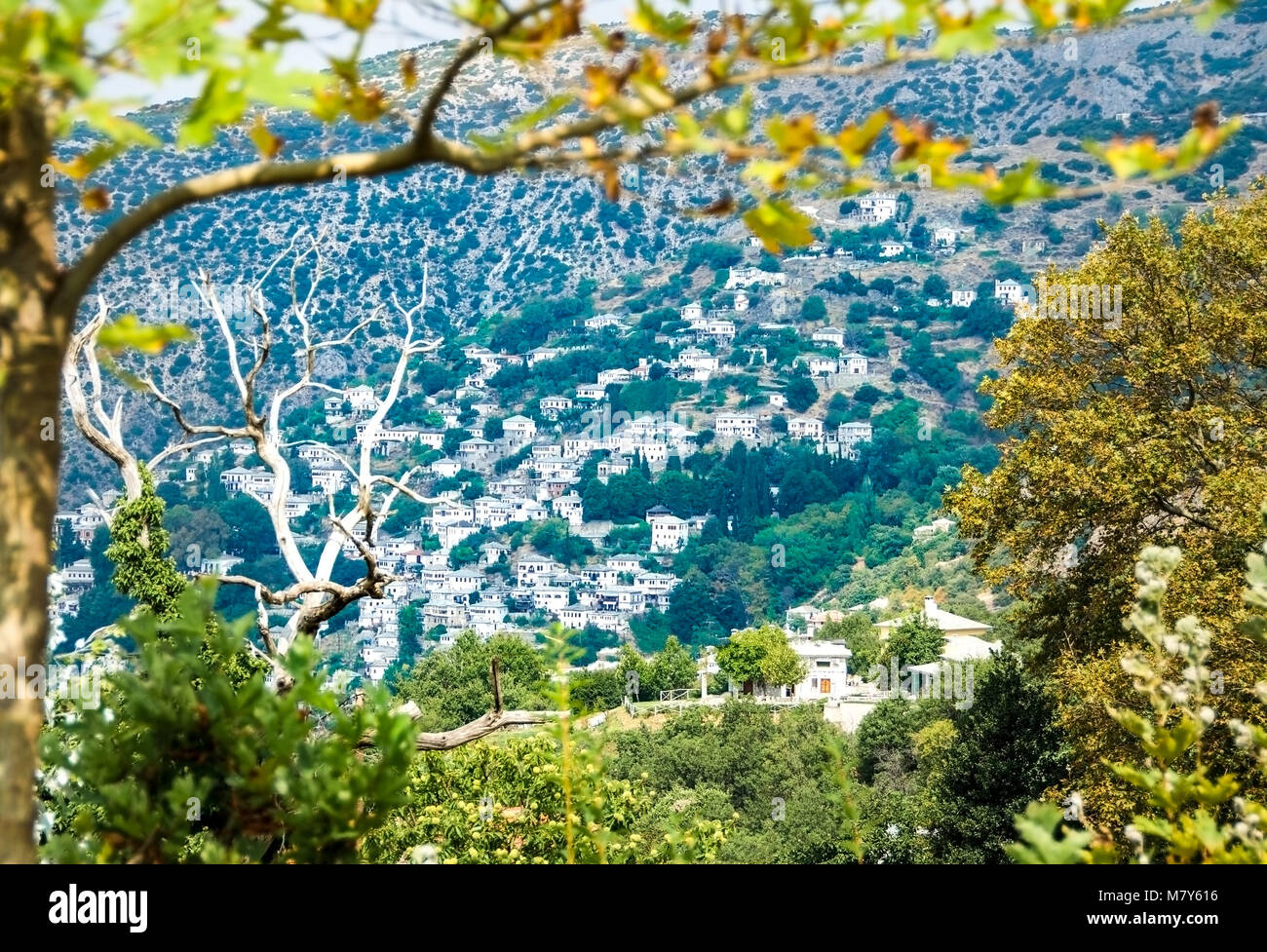 View of Beautiful Greek Village Makrynitsa on Mountain Pelion in ...