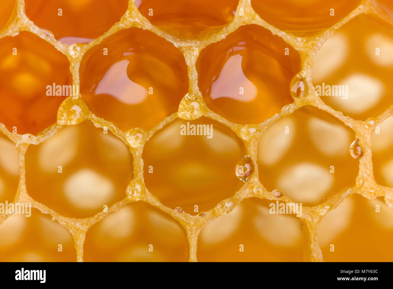 Extreme macro shot of a honey filled honeycomb Stock Photo - Alamy