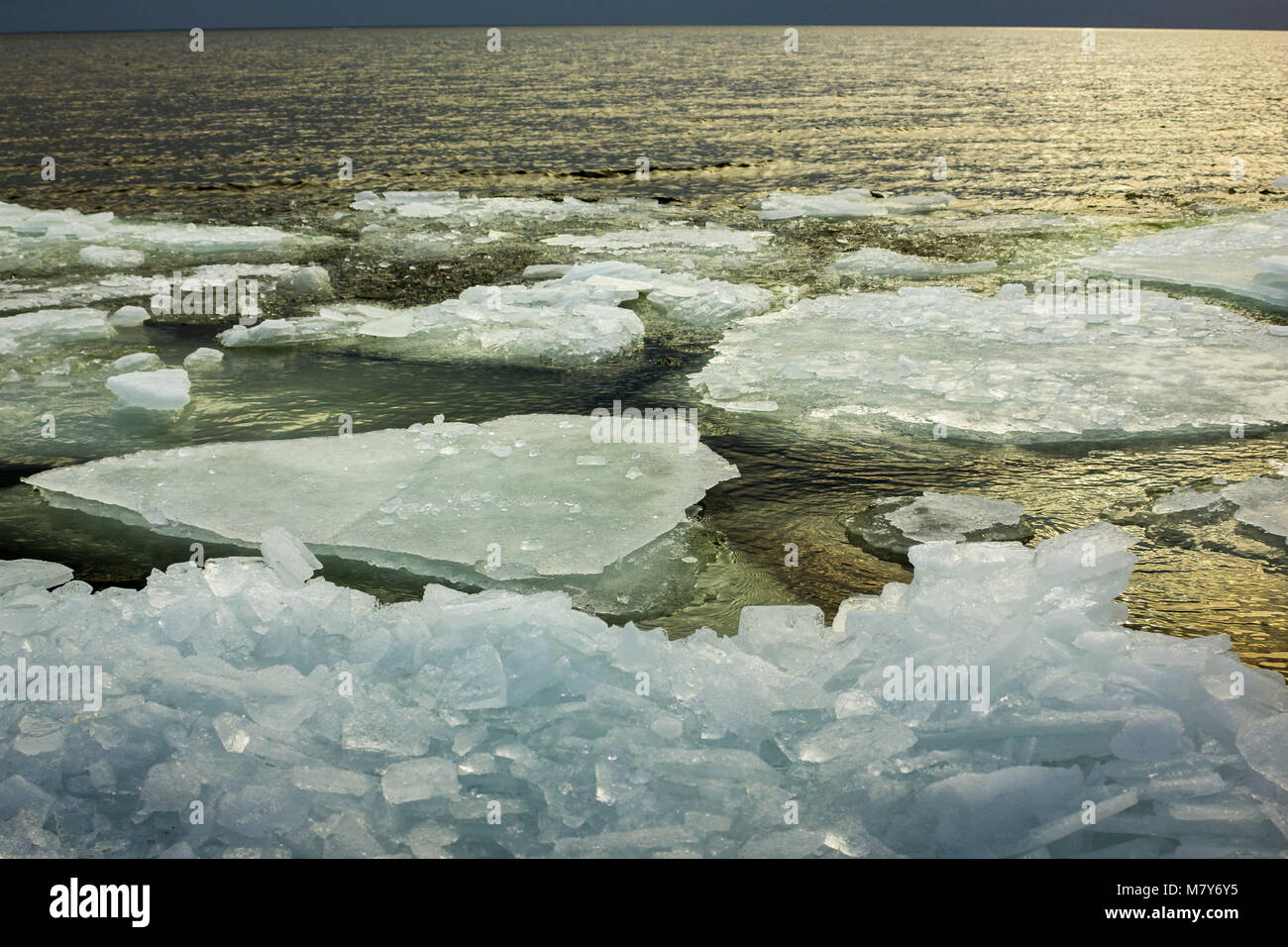Baltic Sea Beach with Ice Floating in a Water, through Natural Frame of ...