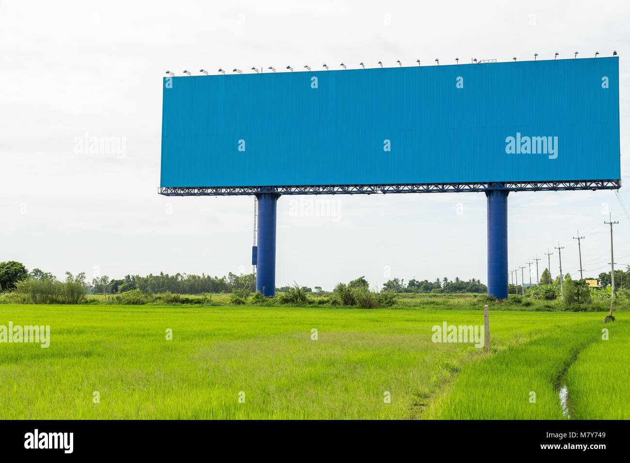 Empty large white advertising billboard in green rice field. for design ...