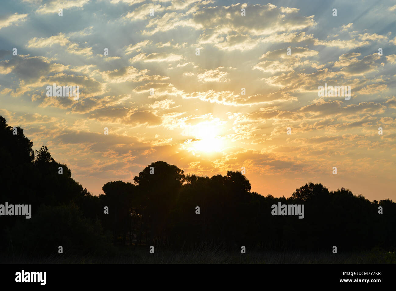 Morning sky in Spain Stock Photo - Alamy