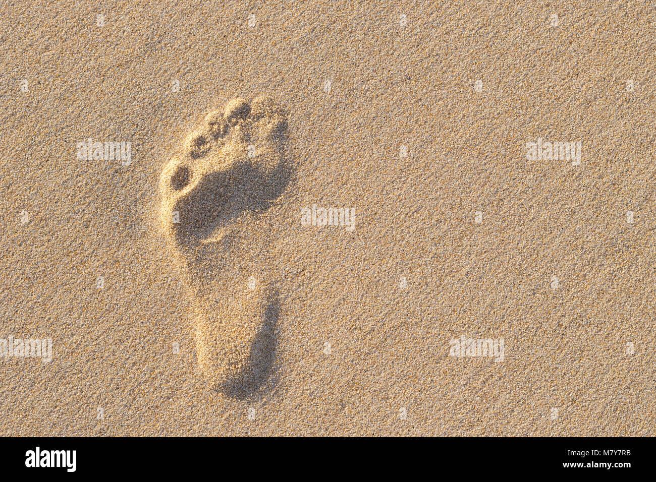 Photo of left human footprint on sand with amazing nature sun lightning ...