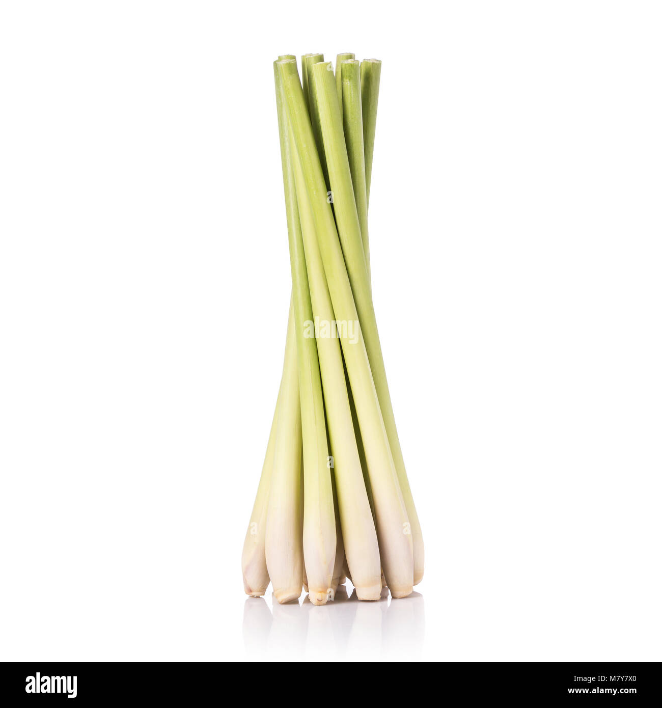 Fresh lemongrass or citronella grass leaf. Studio shot isolated on ...