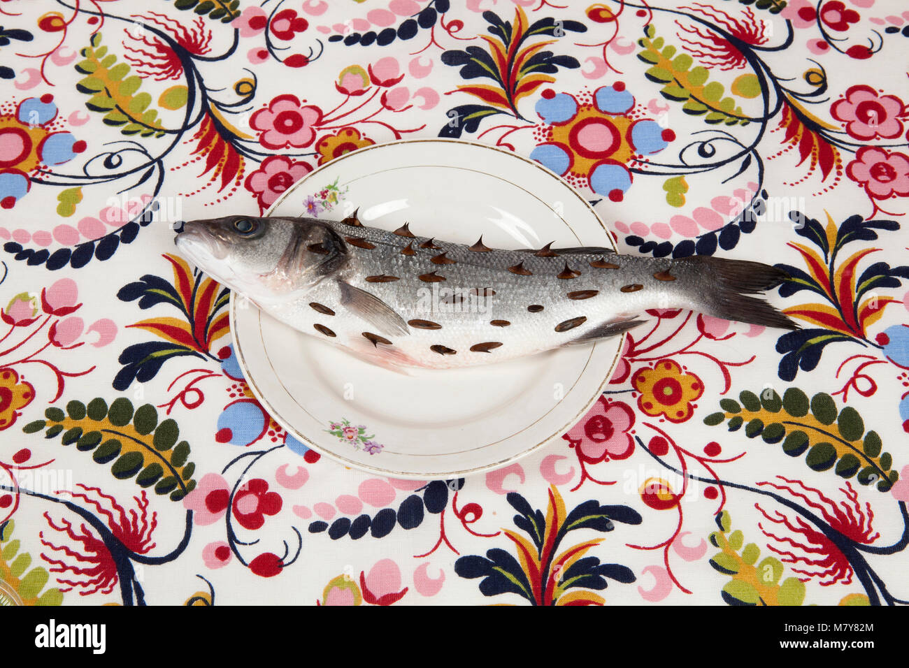 A bass fish with rosebush, thorns in a flower plate hidden on a flowery ...