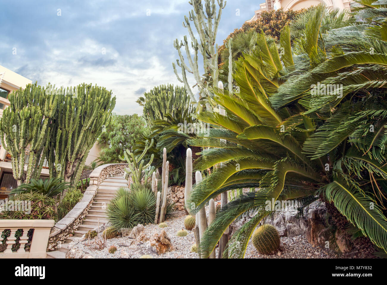 Cactus park in Monaco in the evening, Monte Carnot, Monaco Stock Photo ...