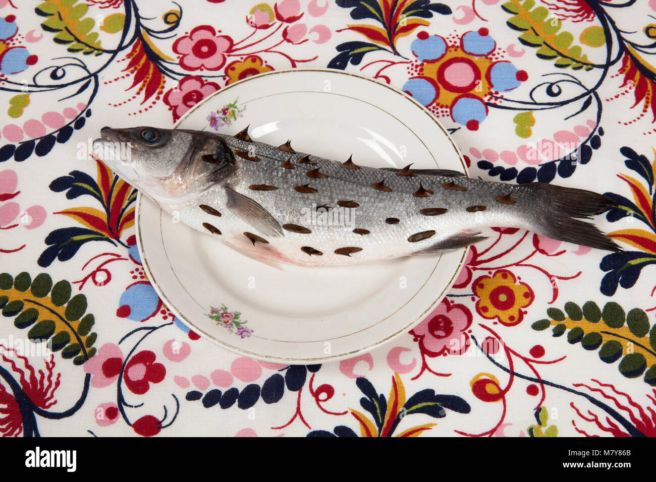 A bass fish with rosebush, thorns in a flower plate hidden on a flowery ...