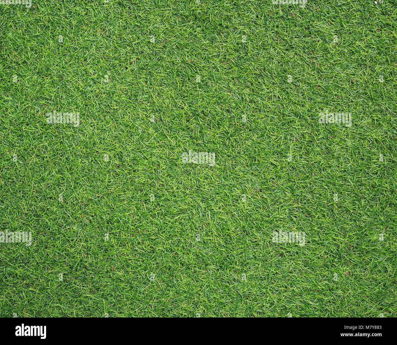 Texture of bright green artificial grass can use for background and ... Texture of bright green artificial grass can use for background and ...