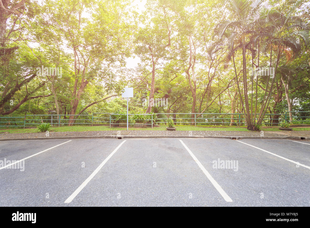 Empty car parking space in public the park surrounding by the tree ...