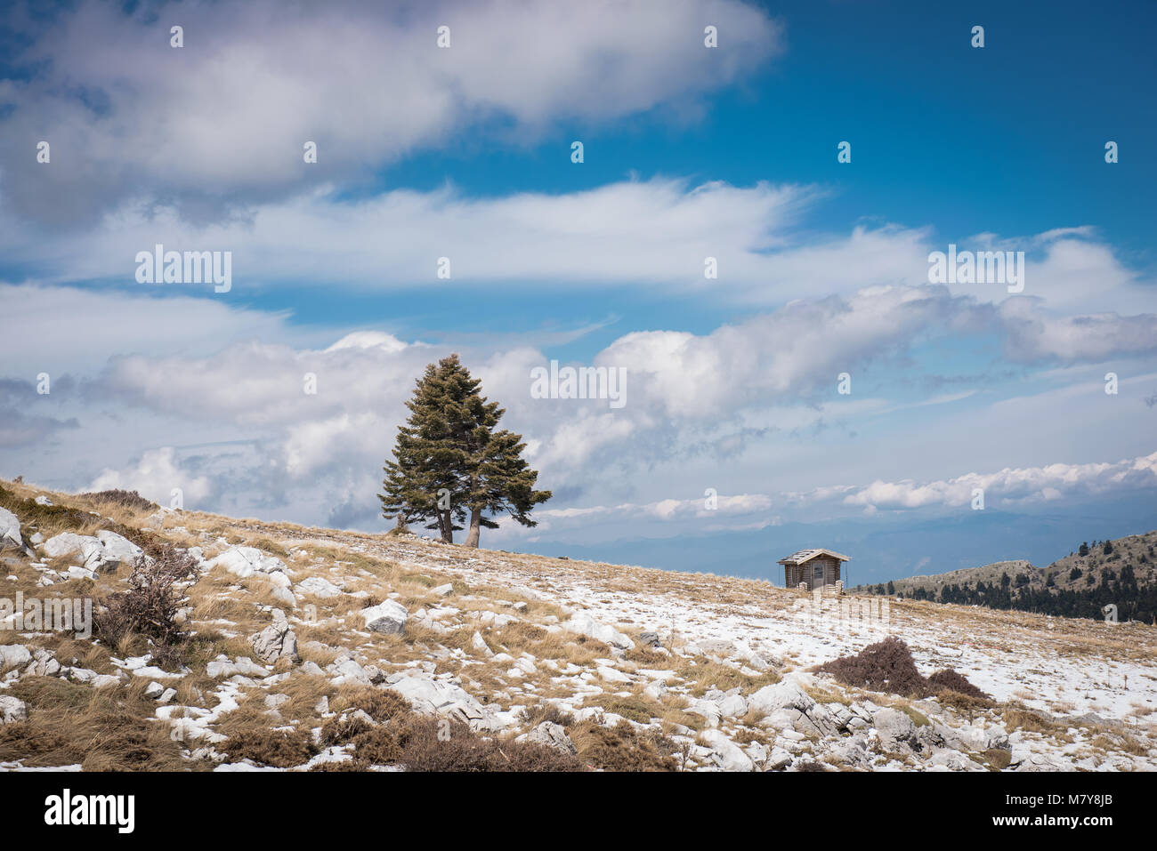 Landscape with a small cabin and one tree in the mountains in winter ...