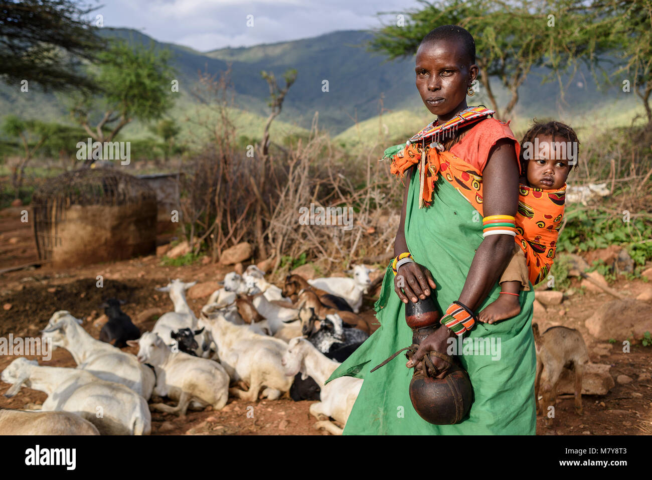 African woman with her baby milking goats inside a small cluster of ...