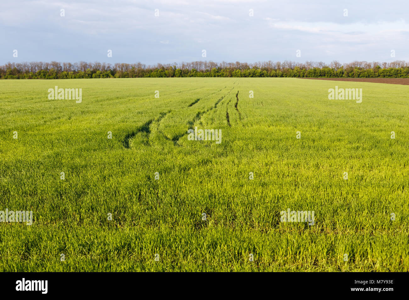 Grower sunset hi-res stock photography and images - Alamy