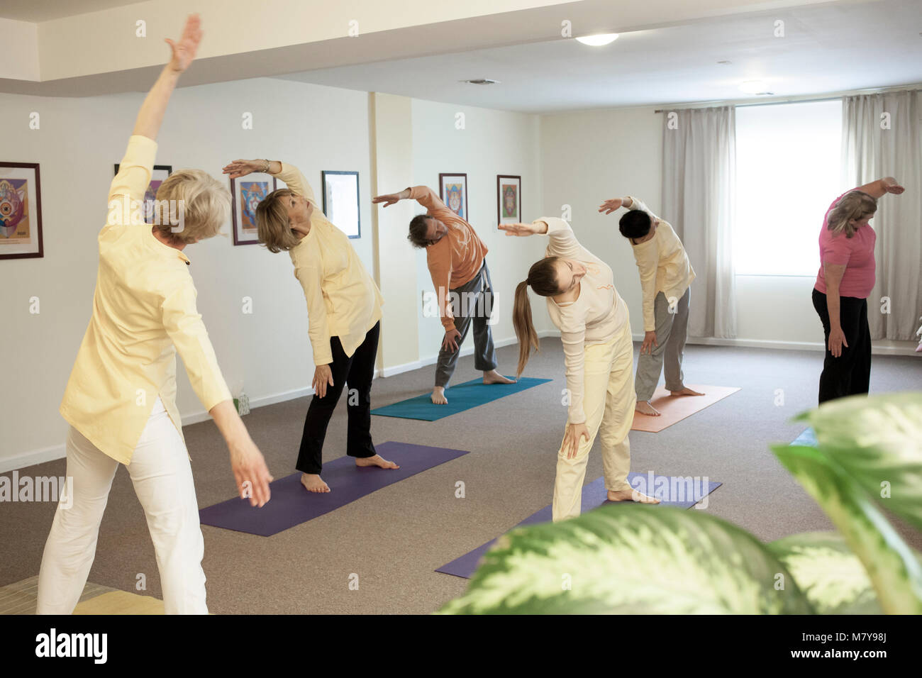 People practising trikonasana - bending sideways in yoga class guided ...