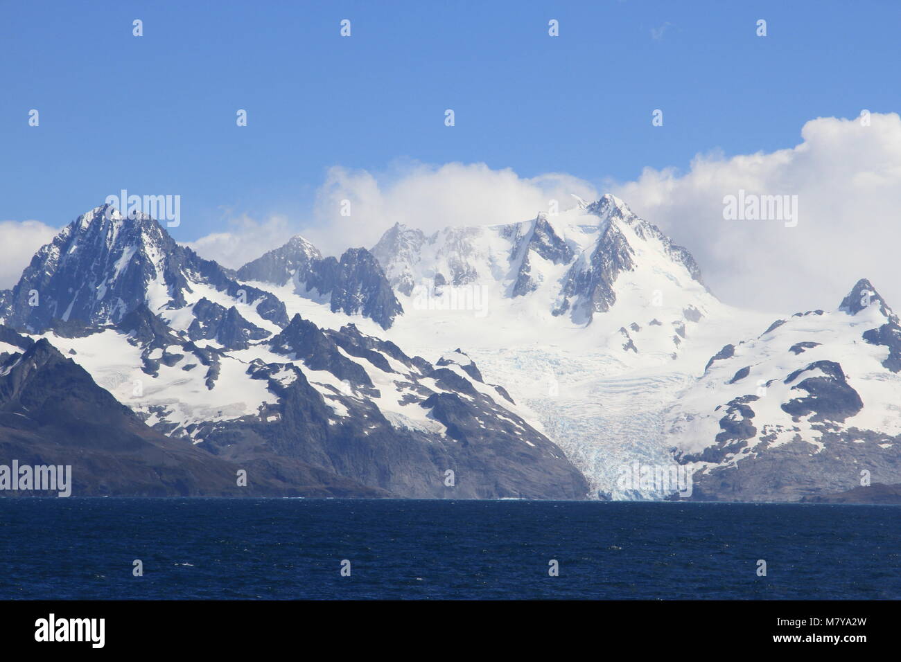 South Georgia scenes Stock Photo - Alamy