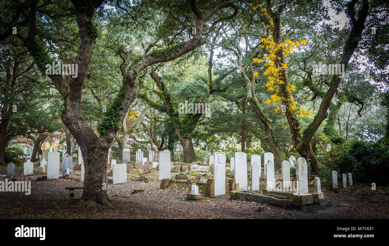 Trees and ivy in a cemetary with headstones Stock Photo - Alamy