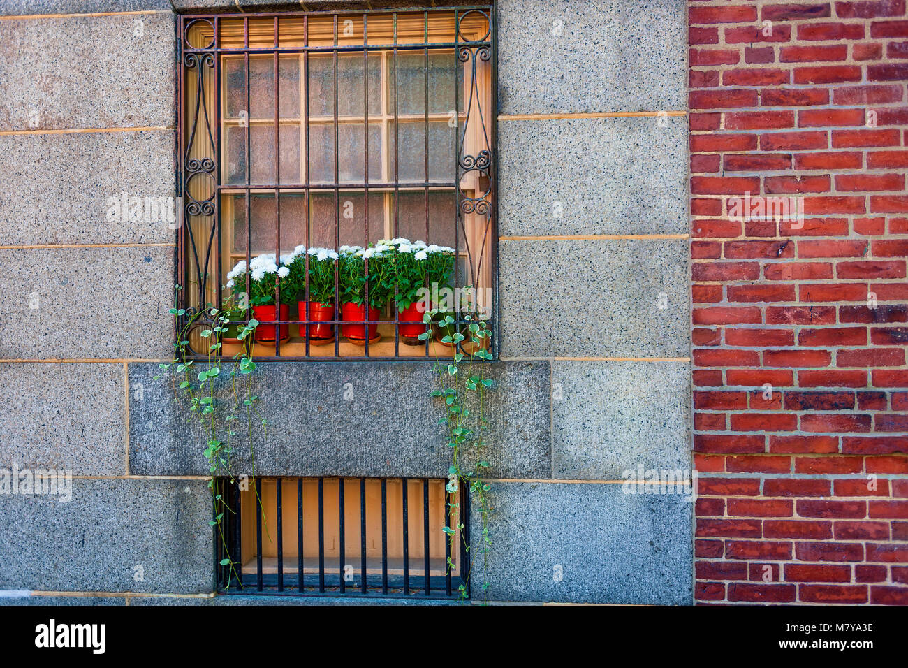 Window boxes flowers stone hi-res stock photography and images - Alamy