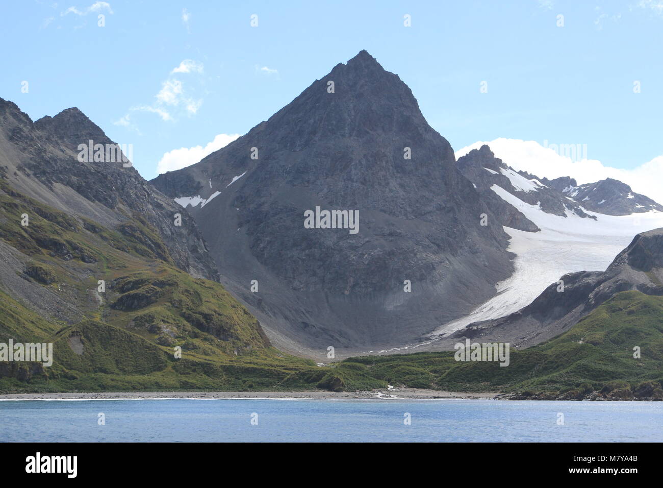 South Georgia scenes Stock Photo - Alamy