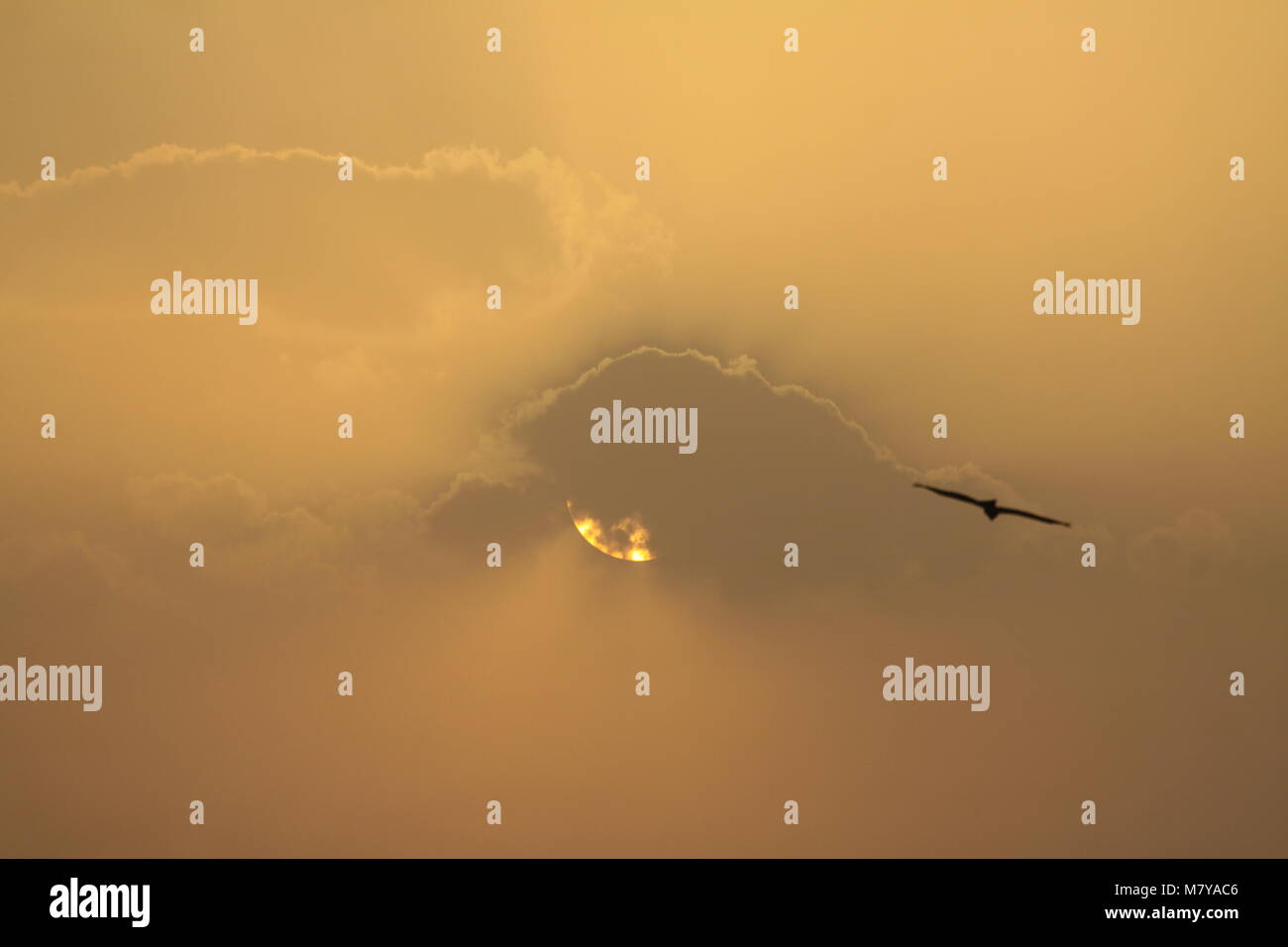 Sunset during a sandstorm Stock Photo - Alamy
