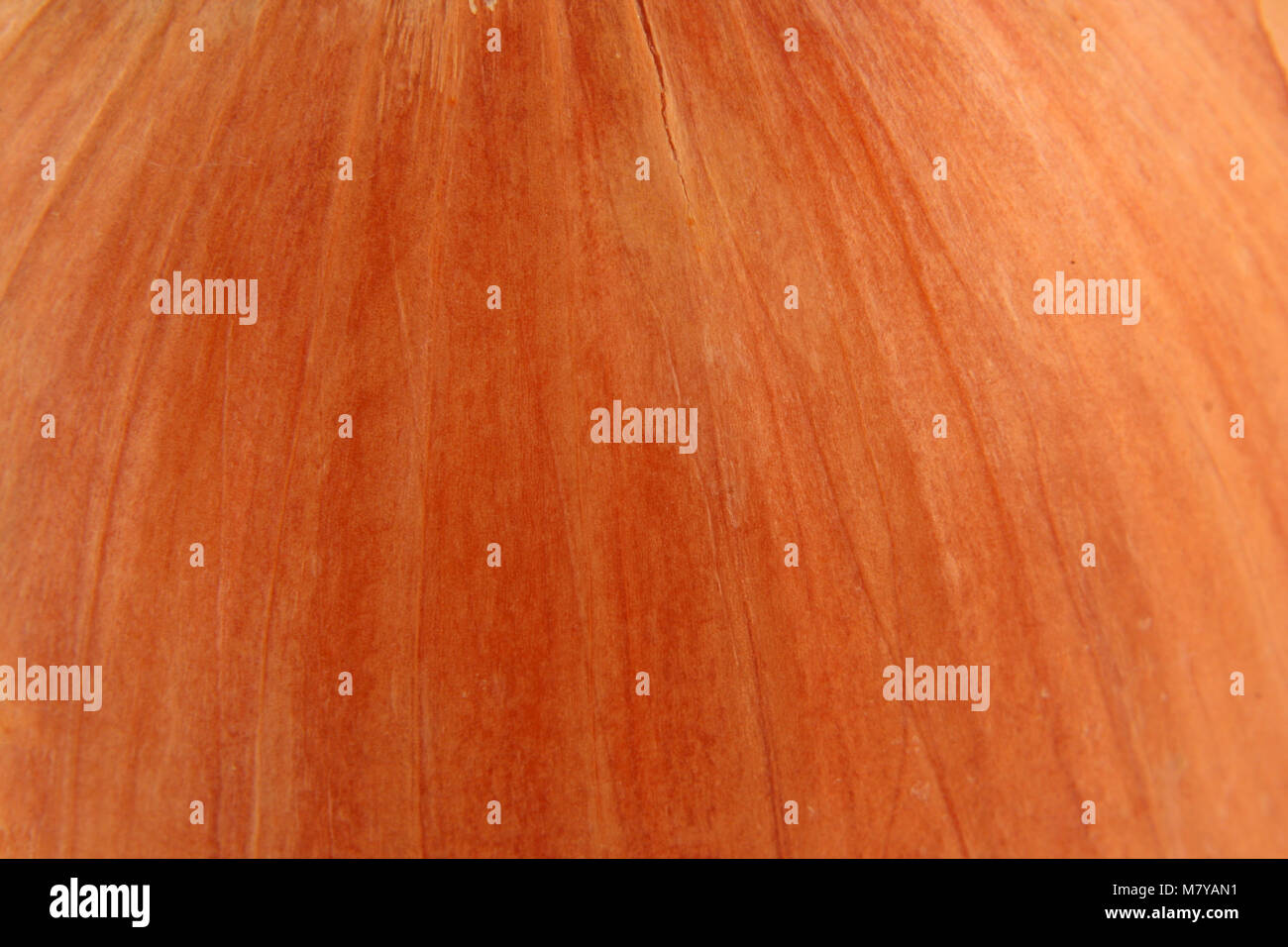 Onion Skin Texture