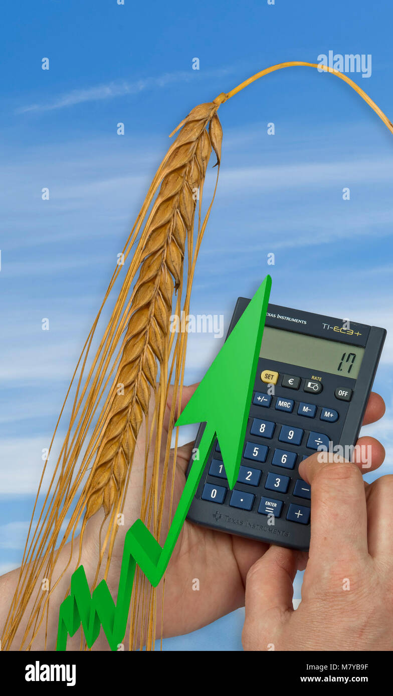 Barley price 1 Stock Photo - Alamy