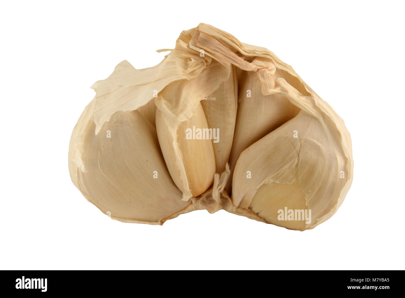 A Isolated Garlic half a bulb with cloves Stock Photo - Alamy