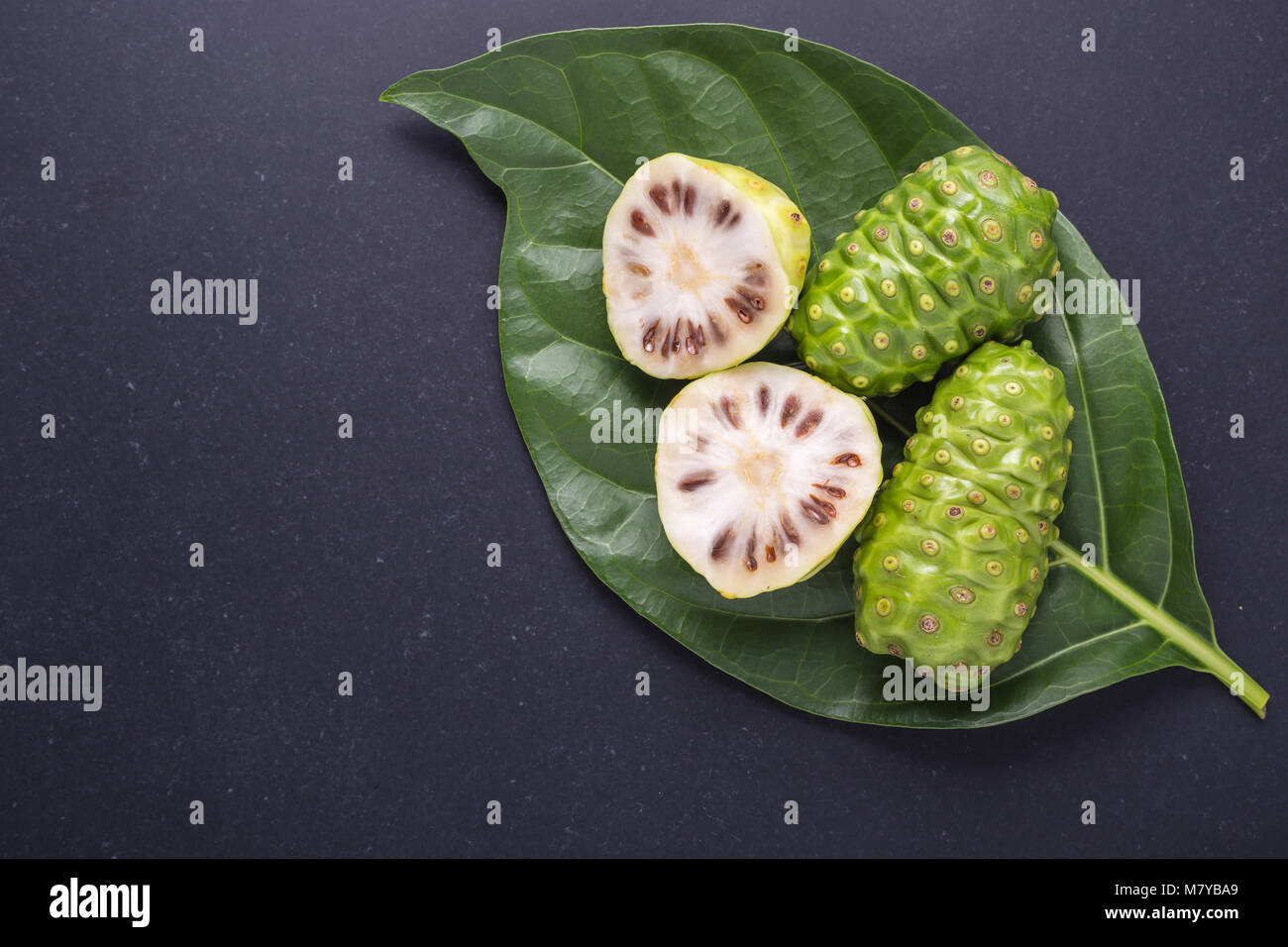 Fruit of Great morinda (Noni) or Morinda citrifolia tree and green leaf ...