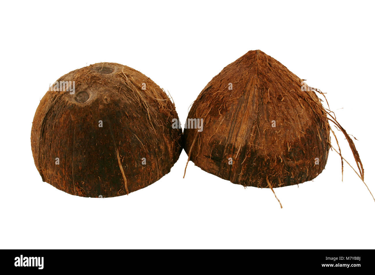 A Isolated coconut halves on white background Stock Photo - Alamy
